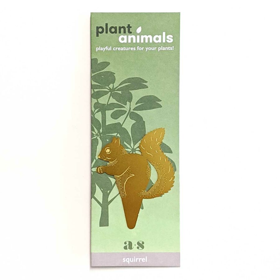 Plant Animals - Squirrel