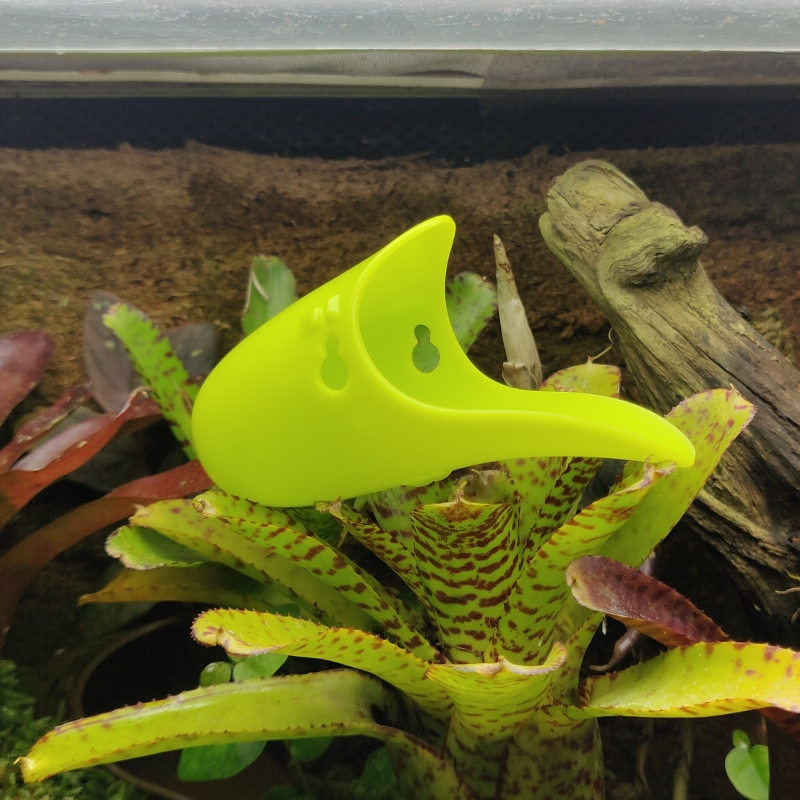 Tad-Pool - Yellow/Green Cup Set | Canada | Jungle Jewel Exotics